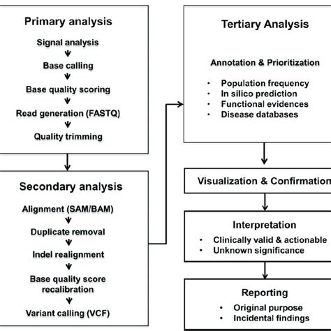 overall workflow of next generation sequencing download scientific