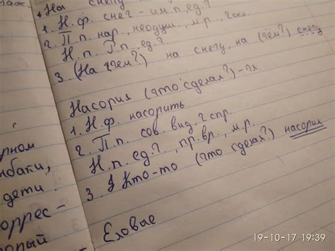 Морфологический разбор слова еловые По такому принципу Школьные Знания Com