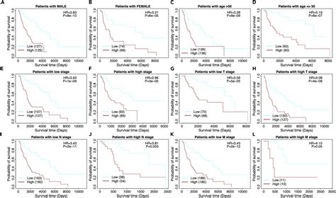Tissue Resident Memory T Cell Signatures From Single Cell Analysis Associated With Better