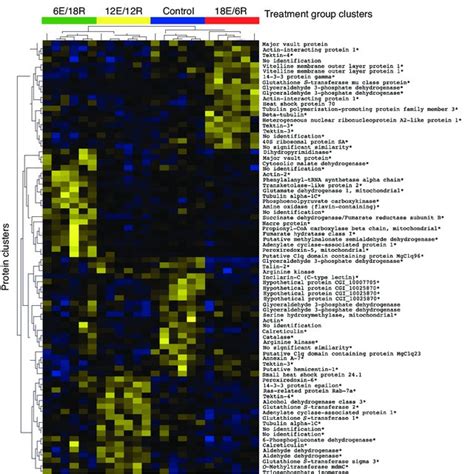 Hierarchical Cluster Analysis Hierarchical Clustering Using Pearson