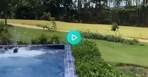 Video Game Character Selection Screen  On Imgur