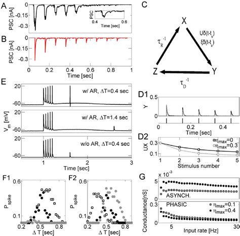 asynchronous release modulates the spike generation window and download scientific diagram