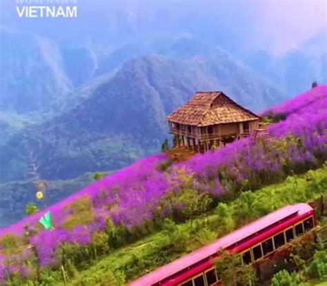 Sirajuddin Jamal Mohamed Posted On Linkedin