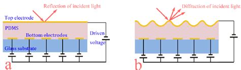 Schematic Drawing Of The Tunable Spatial Light Modulator A Without