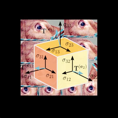 Tensor Calculus Oxygenfad