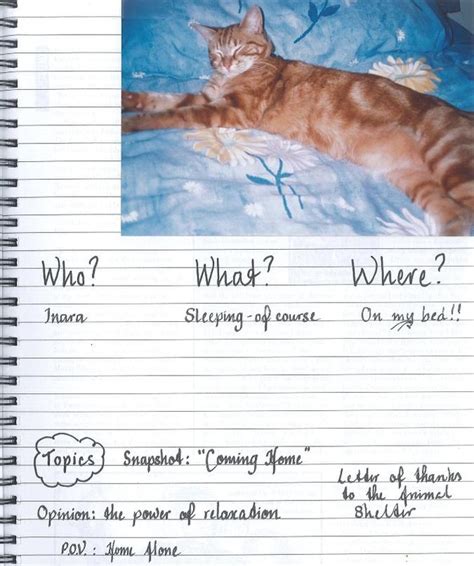 Writers Notebooks Margd Teaching Posters
