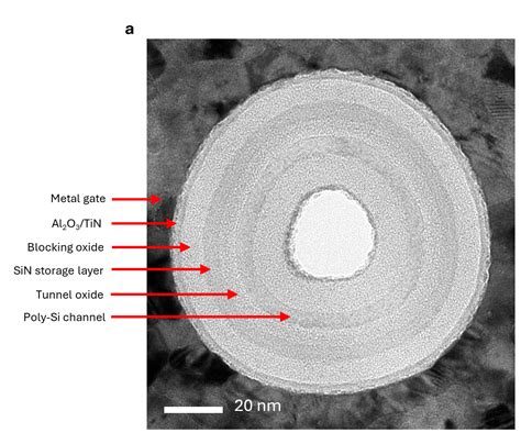 Automatic Critical Dimension Measurements Enabled By Deep Learning Eag Laboratories