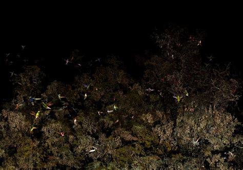 New Artist James Seow Exclusive Print Launch Eyestorm Magazine