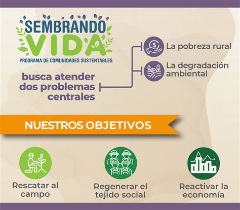 Programa Sembrando Vida Combatiendo La Pobreza Y Promoviendo La