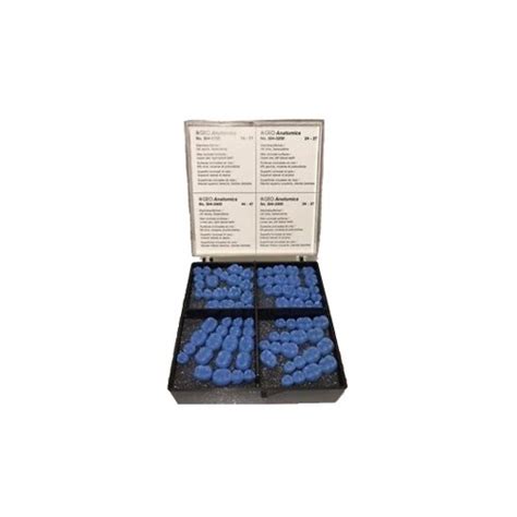 Geo Anatomics Wax Occlusal Surfaces