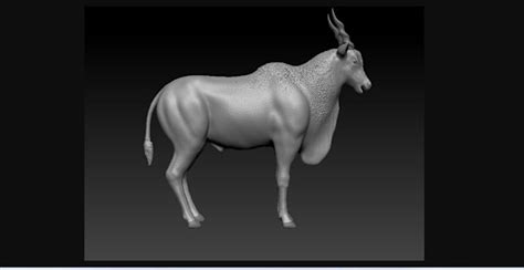 3d Anime Style 3d Anime 3d Realistic Nfsw Animaze Using Blender Unity Ue5 By Roblox Skimmeh