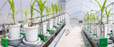plant array inram development and design ltd