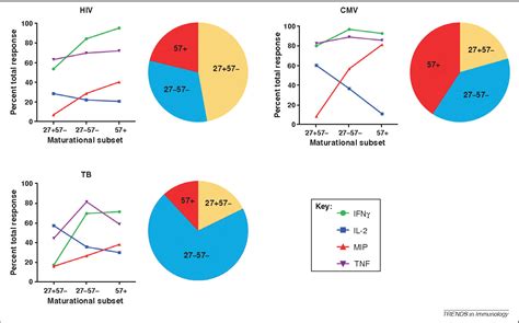 figure 1 from pathogen specific t cell depletion and reactivation of