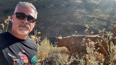 Live Ask Me Anything Youtube