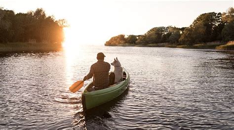 vandana vishnu on linkedin why employees want to leave or stay with their organizations