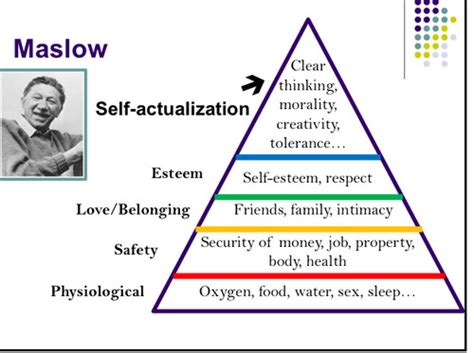Psychology Final Flashcards Quizlet Psychology Final Flashcards Quizlet