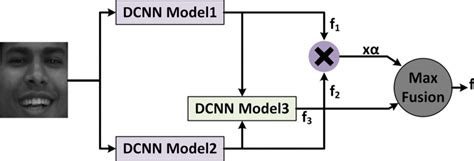 Weighted Maximum Fusion Scheme To Fuse Predictions Of The Emnet Model Download Scientific Diagram