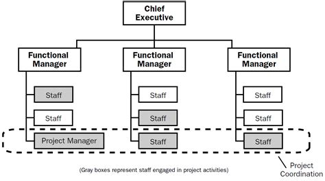 Functional Project Management Structure At Edward Mozingo Blog