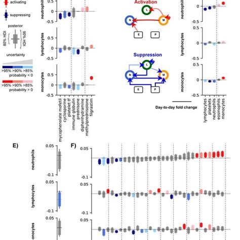 Immune Reconstitution After Hematopoietic Cell Transplantation Hct
