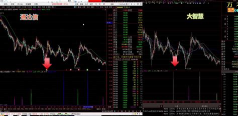开启魔法：大智慧调用通达信的dll 知乎