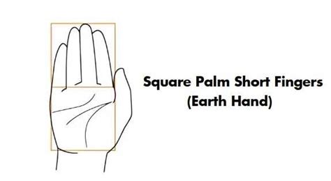 Hand Shape Personality Test Your Hand Shape Reveals Your Hidden