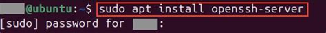 Configurer Un Serveur Openssh Sous Ubuntu 2404 Ionos