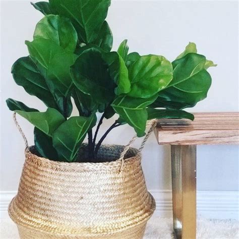 Large Seagrass Basket Dipped Metallic Gold Panier Boule Etsy Seagrass Basket Lucite Bar