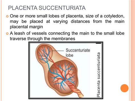 Abnormalities Of Placenta And Cordpptx