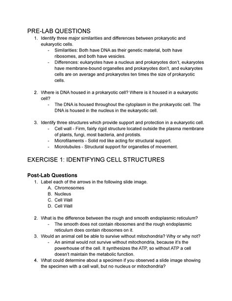 cell structure lab answers at harry oloughlin blog