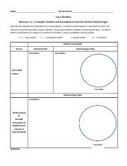 Lab Handout Exercise Docx Name TA Lab Period Lab Handout Exercises