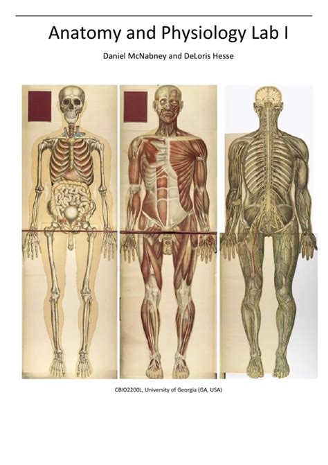 Anatomy And Physiology Lab 1 Manual Introduction To Human Body Systems