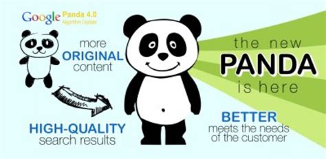 A Complete Guide To The Google Panda Update