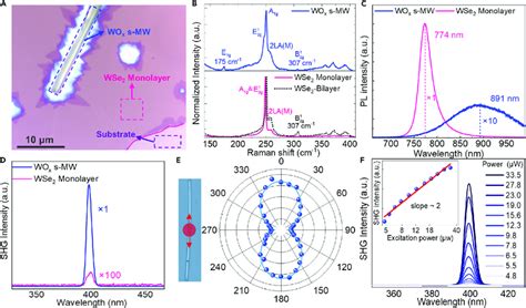 Optical Characterizations Of The Mixed Dimensional Heterostructures A Download Scientific