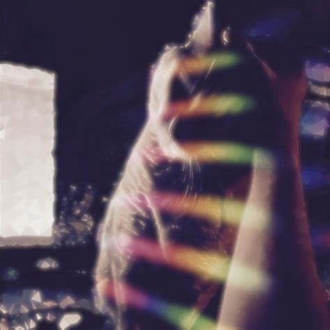 Stream What Are We Yokai Dreams By Hero Listen Online For Free On Soundcloud