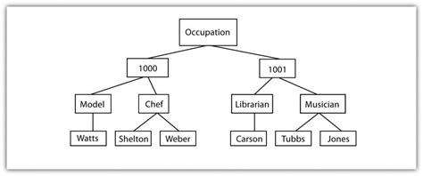 ما هي قواعد البيانات وأنواعها؟ وما هي نظم إدارتها؟