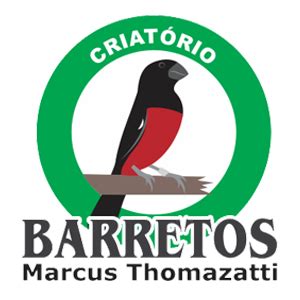 Conhecendo O Canto Praia Criatório Barretos Curió Praia Clássico
