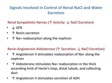Ppt Control Of Extracellular Fluid Volume And Regulation Of Renal Nacl Excretion Powerpoint