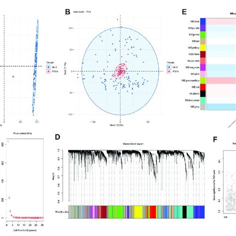 Distribution Of Tca Cycle Related Genes A Pca Of The Tcga And Geo Download Scientific
