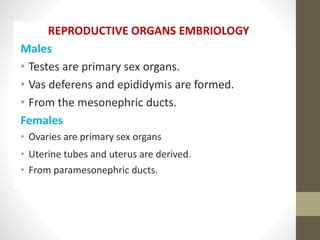 Pelvic Cavity Im Pptx