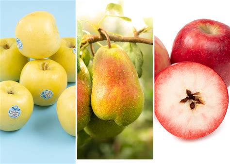 Stemilt To Spotlight New Varieties At Ifpa Global Produce And Floral Show