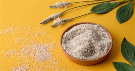 Psyllium Husk Powder Substitutes Unlimited Recipes