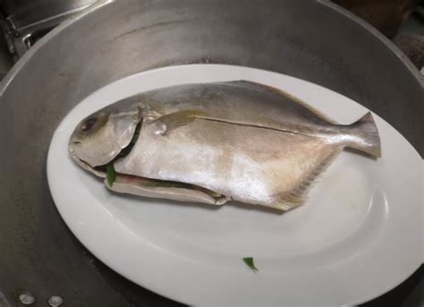 Steamed Pampano Chinese Restaurant Diy Recipe W Step By Step Instructions Goldie Goes Global