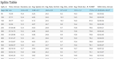 Archinisis Rowing Performance Analysis