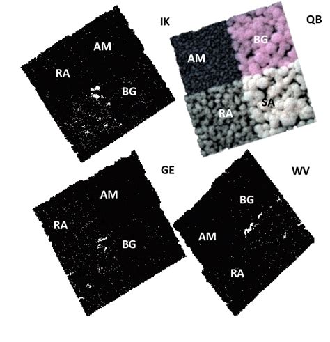 100x100m Simulated Satellite Images With A Sun Zenith Angle Of 20° At