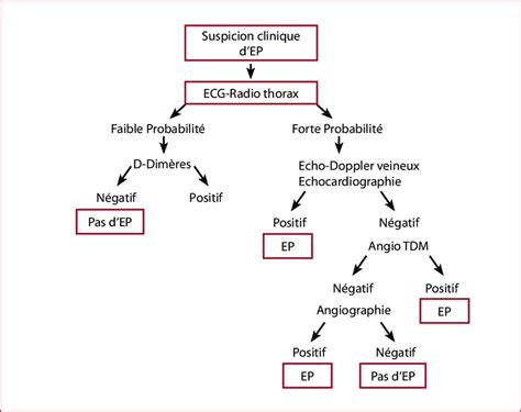 4 Stratégie Diagnostique De Lembolie Pulmonaire Traitement Des Download Scientific Diagram