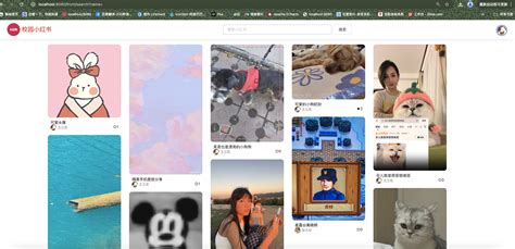 Java原创精品 基于springbootvue的仿小红书博客论坛系统，社交媒体平台，含dfa敏感词过滤算法、echarts统计图、瀑布流