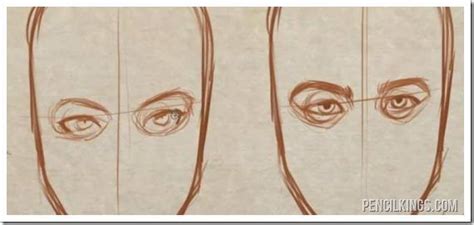 How To Draw Eyebrows For Male And Female Faces