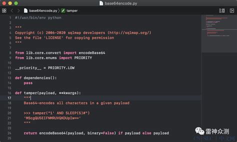 Sqlmap Tamper Script Base64 At Chloe Dunbar Blog