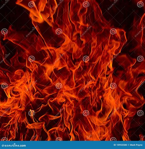 Fire Flames On A Black Background Abstract Fiery Texture Realistic