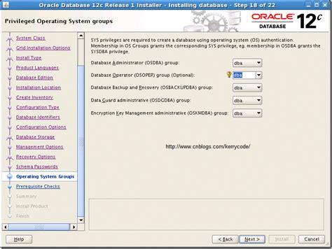 Linux 平台安装oracle Database 12c 潇湘隐者 博客园